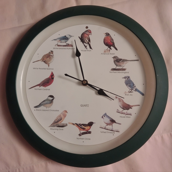Mark Feldstein and Associates | Kitchen | Talking Bird Clock | Poshmark